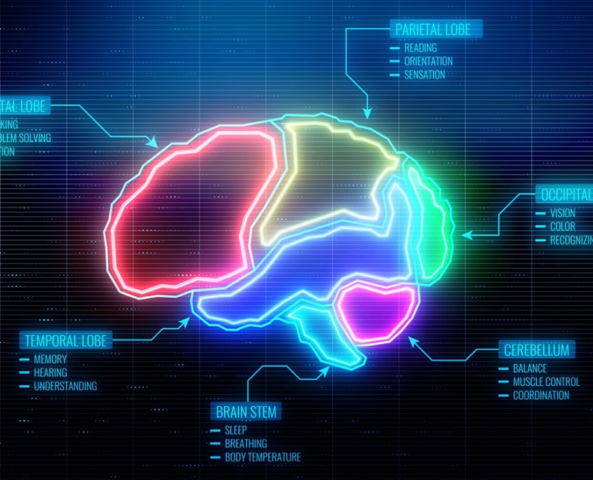 What 12 Things does a forensic injury biomechanics do? - Nakase Law Firm