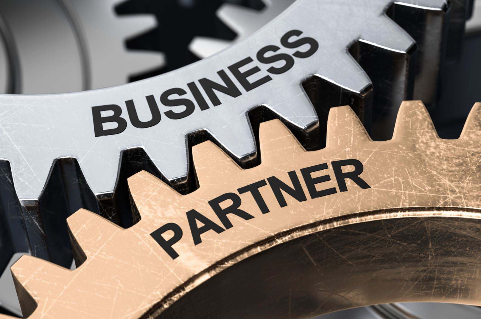 Roles and Responsibilities in a Limited Partnership? What Happens When ...
