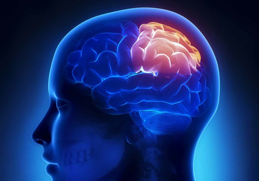 What does the parietal lobe of the brain control? - Nakase Law Firm
